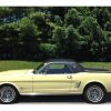 1966 Ford Mustang Mustero - Blue Oval Trucks