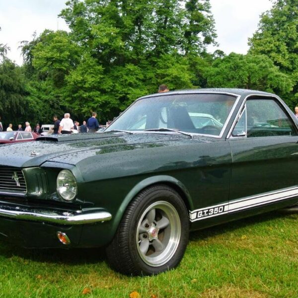 1966 Ford Mustang Mustero - Blue Oval Trucks